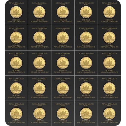 2022 25 Gram Canadian Gold MapleGram (25x1g, BU w/Assay) - Dave And Co ...